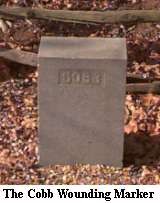 Ancestors In a Little Blue and a Lot of Gray: The Brothers Cobb Part ...