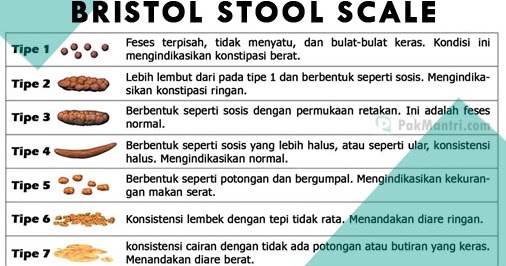 Karakteristik, Jenis dan Tipe Feses