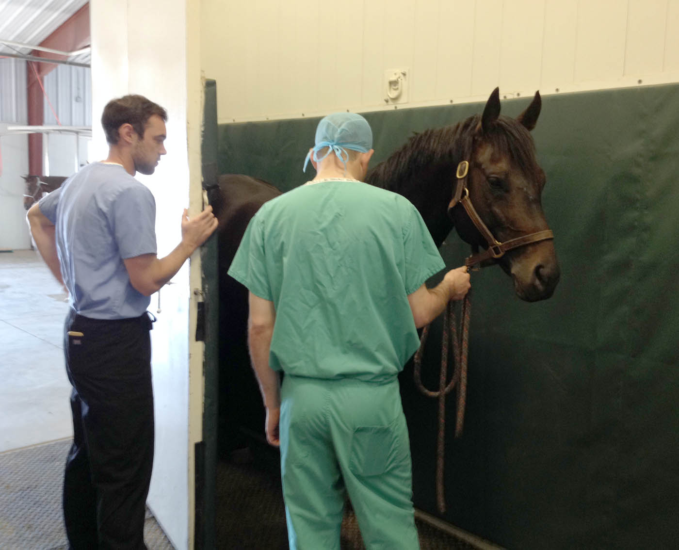 Bit of Honey Training: Note's Surgery