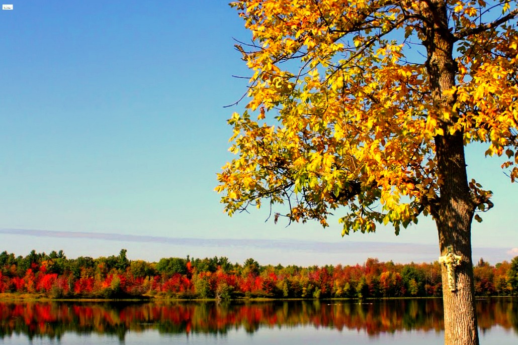 Fun Fall Activities Around Lake Champlain | Caravan Sonnet