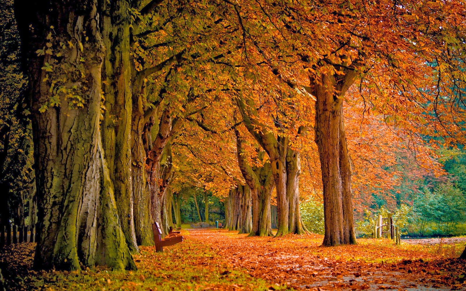 Beautiful autumn scene ~ HD Wallpapers Blast