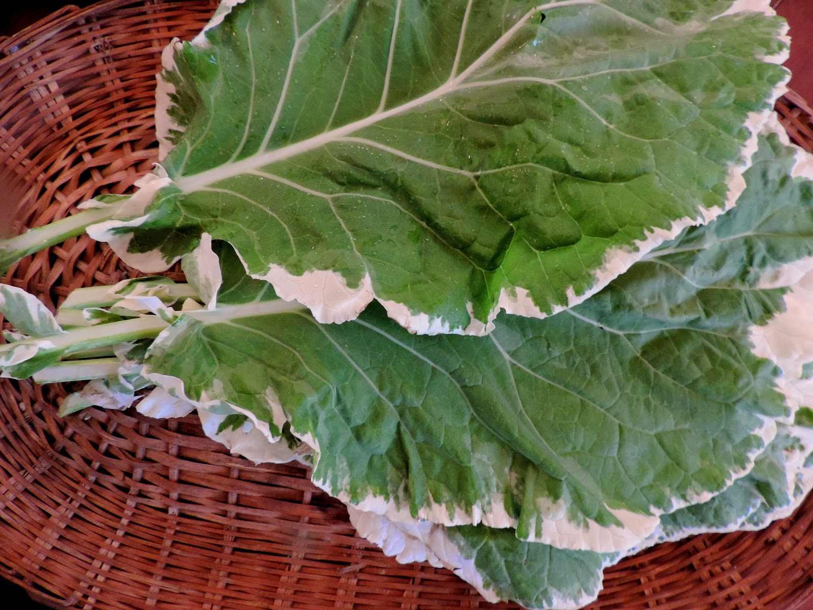 come-se: É tudo couve neste inverno