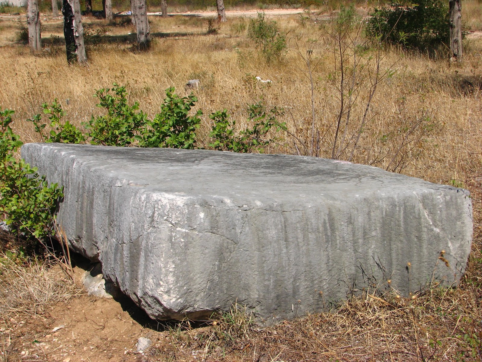 Kroz objektiv: Radimlja