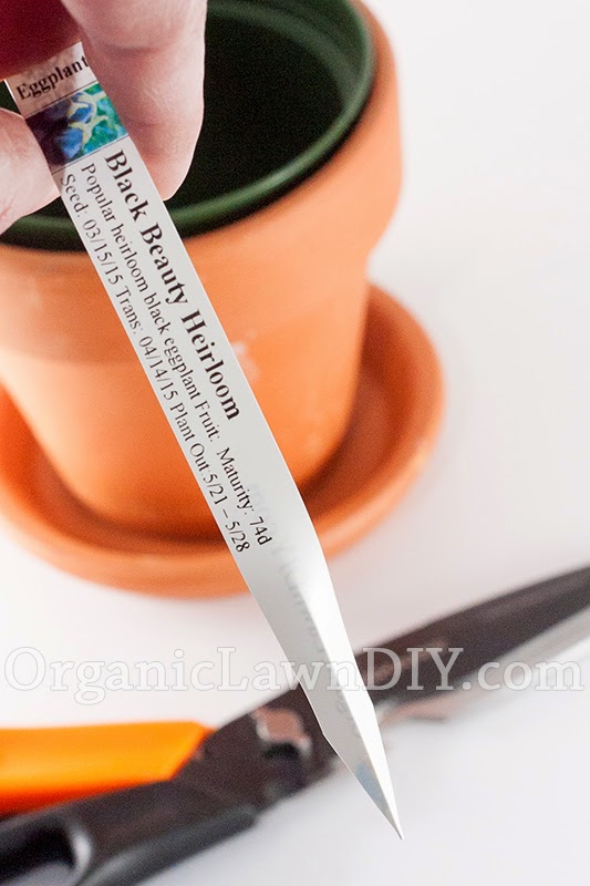 DIY Printed Plant Labels