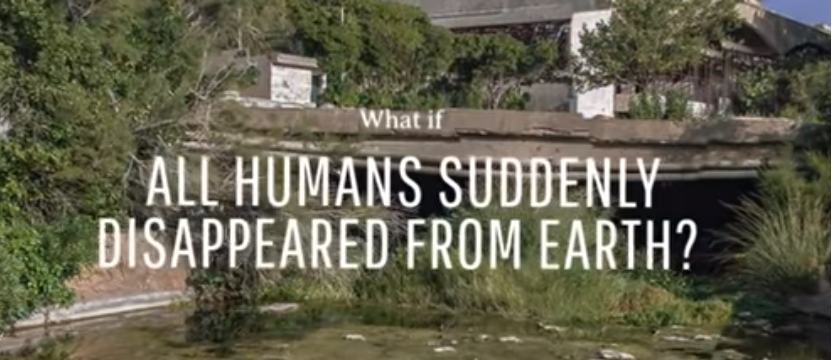 What If All Humans Suddenly Disappeared From The Earth?