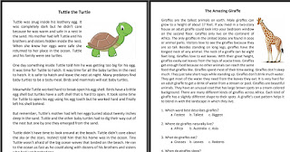 Reading Comprehension Materials for GRADE 5 (Free Download) - Guro Tayo