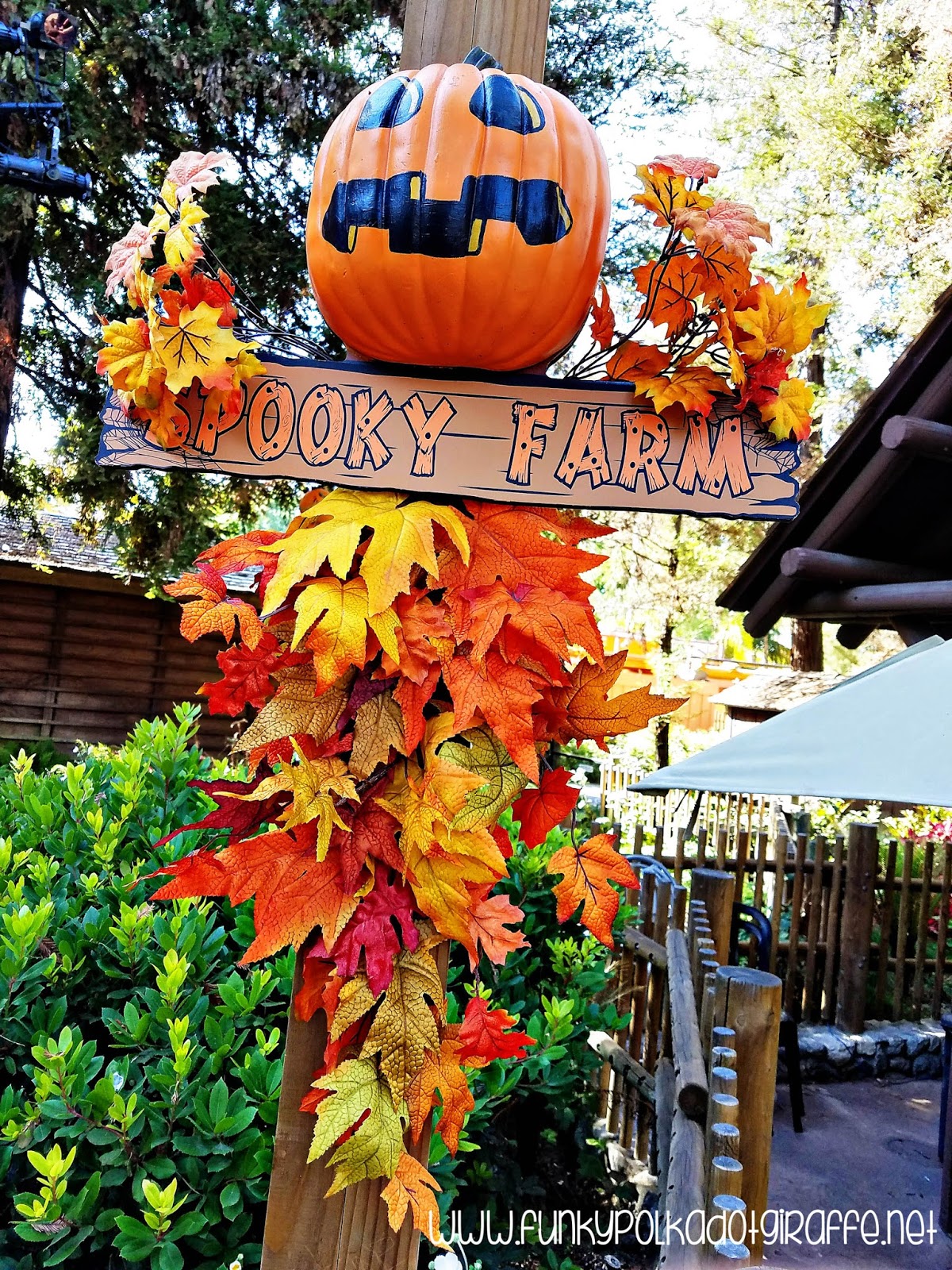 Funky Polkadot Giraffe: SPOOKY Family Fun at Knott's Spooky Farm 2018 # ...