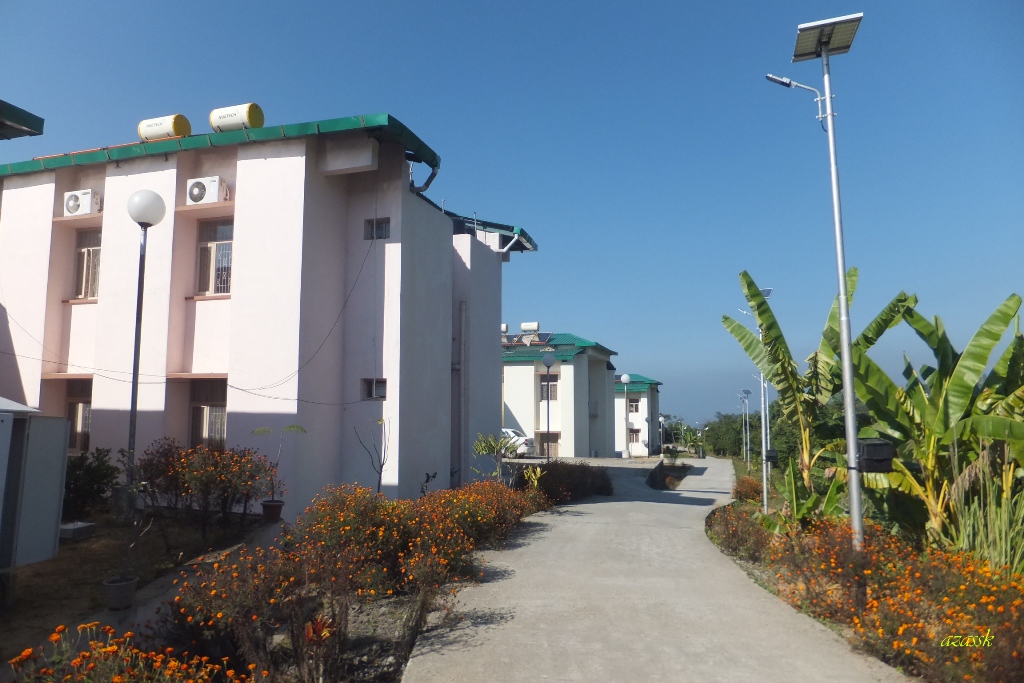 Calm-Sojourner: Mizoram University Campus