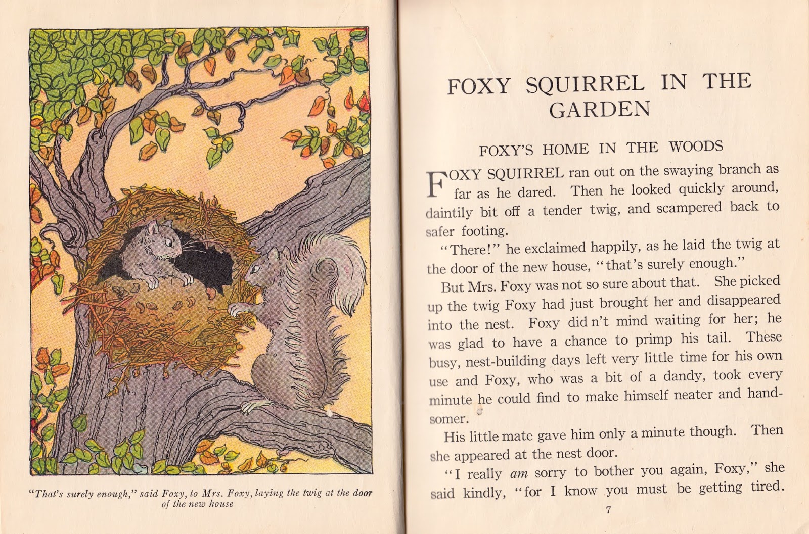 Frances Beem: Foxy Squirrel in the Garden
