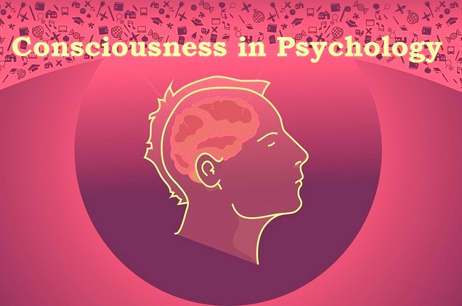 What Is Consciousness In Cognitive Psychology Types And Limits Of Human Consciousness what-is-consciousness-in-cognitive-psychology-types-and-limits-of-human-consciousness