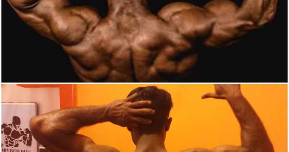 world bodybuilders pictures: jordan bodybuilders special poses from ...