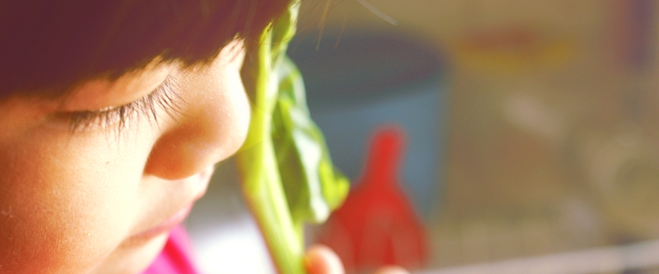 Kuih Masalodeh / Vadai - Resipi 10 bulan ke atas | Cara Penyediaan ...