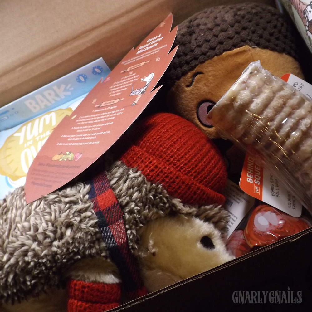 Subscription Spotlight: BarkBox November 2017 - Gnarly Gnails