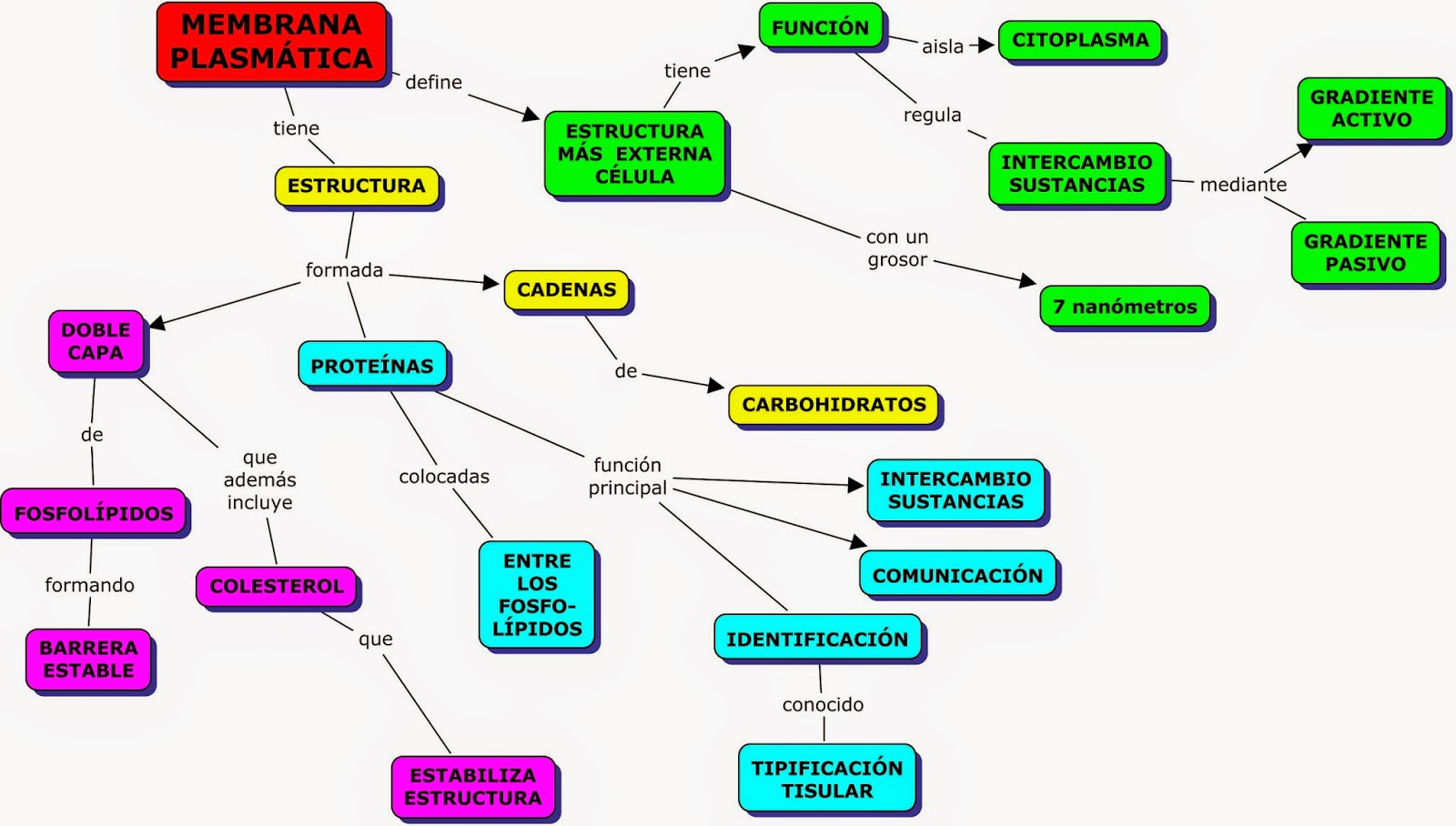 Mapa Conceptual Sobre La Célula | Citoplasma | Biología Celular)