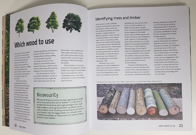 Forest Craft: A child's guide to whittling in the Woodland - Lifestyle ...