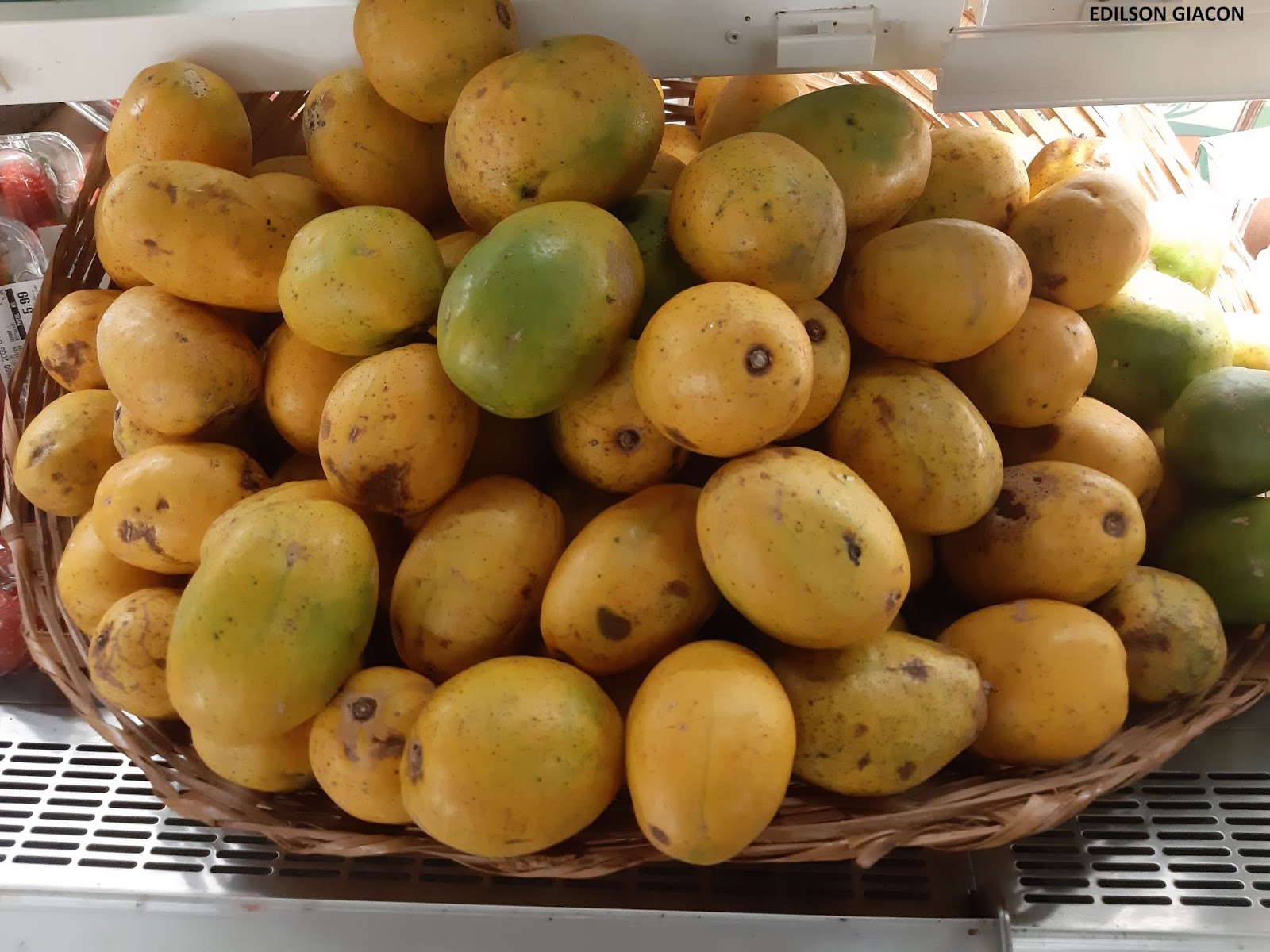 Viveiro Ciprest - Plantas Nativas e Exóticas: Cajamanga ou Cajarana ...