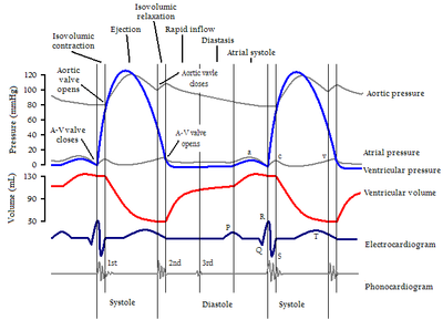 EL CICLO CARDIACO | Medicina9