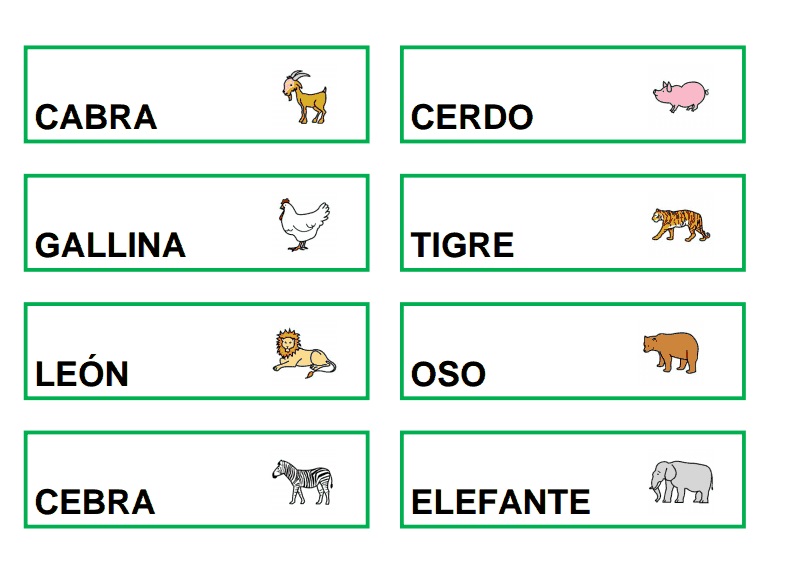 Espacio de PT: Los animales