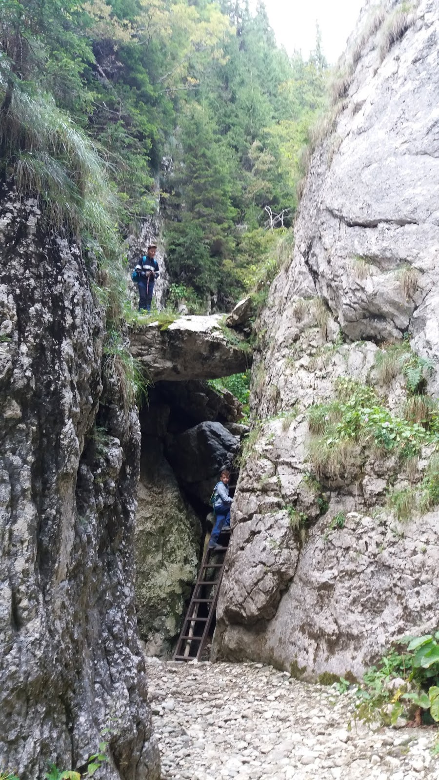 Hoinarind prin Romania: Canionul Horoabelor - Coltii Tapului 2155 m ...