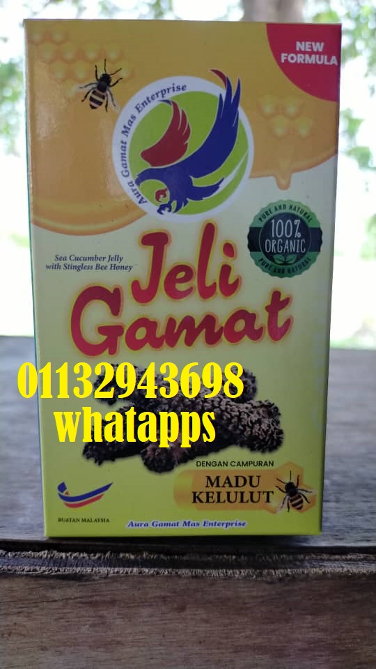 PRODUK GAMAT DARI LANGKAWI: JELLY GAMAT (LANGKAWI)