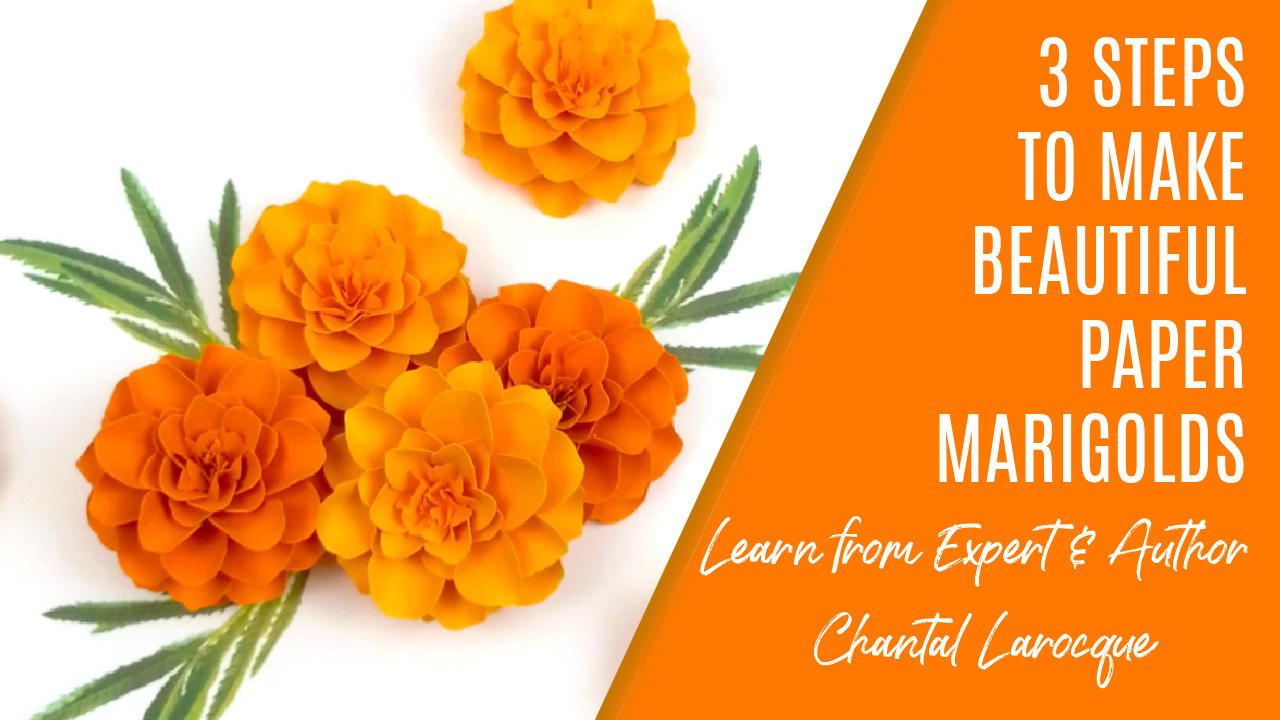 3 Easy Steps To Make Beautiful Paper Marigolds 3 Easy Steps To Make Beautiful Paper Marigolds