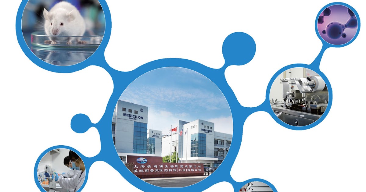 Preclinical Animal Studies