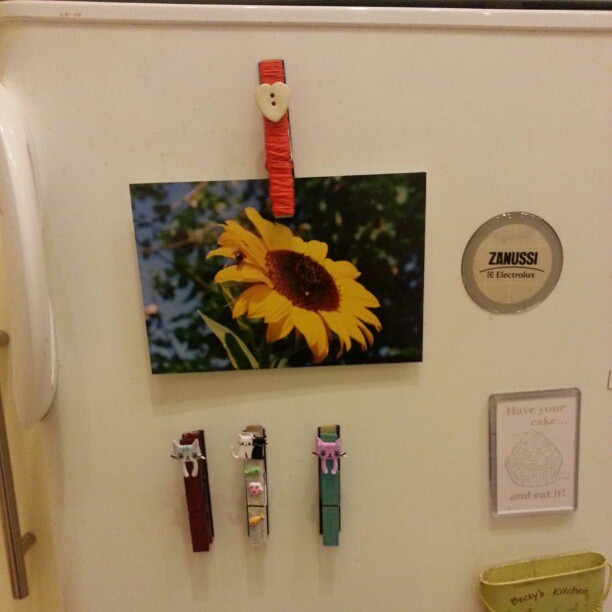 Doing It In Style: Upcycled pegs tutorial and life lately!