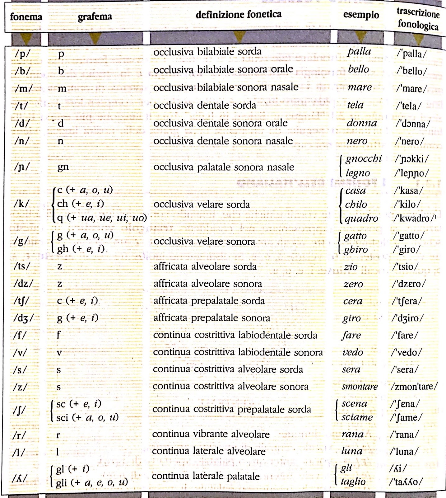 FONETICA E FONOLOGIA DELL'ITALIANO STANDARD