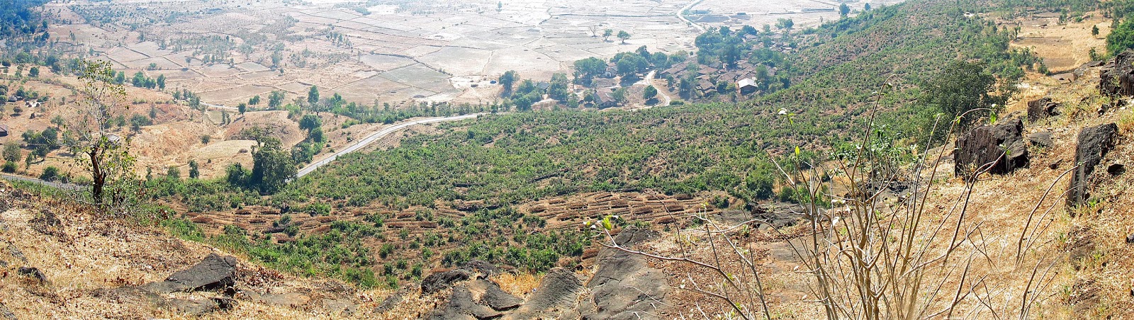 Stock Pictures: Nature headers - hilly landscape and a country road