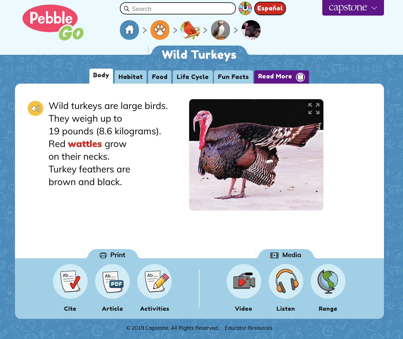 The Library Voice: PebbleGo Visual Search Posters For Our Youngest ...