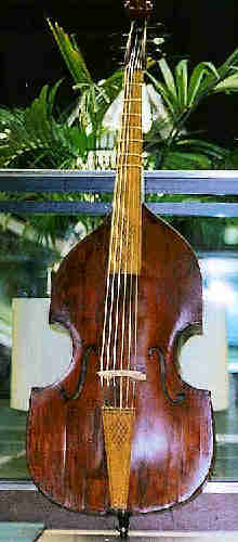 BassXtravagances: TIPOLOGIA DO INSTRUMENTO