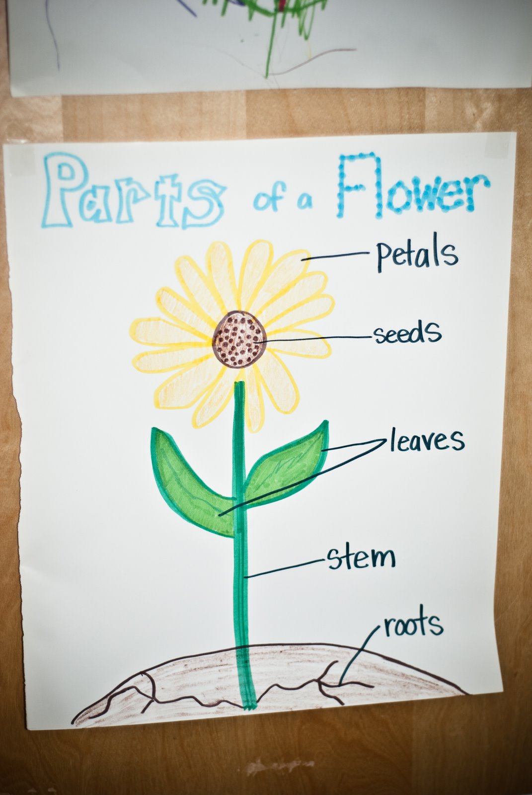 Teach Your Children Well: Flower Shared Writing