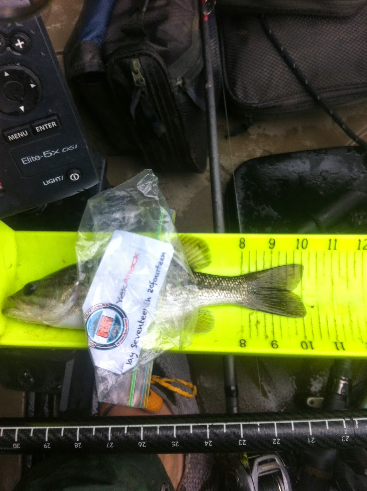 CUMBERLAND RIVER FISHING BLOG