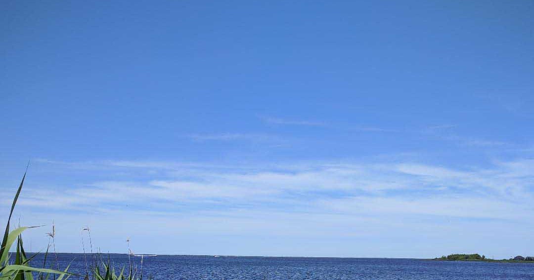 Cottage by the Sea : Lovely Spring Day