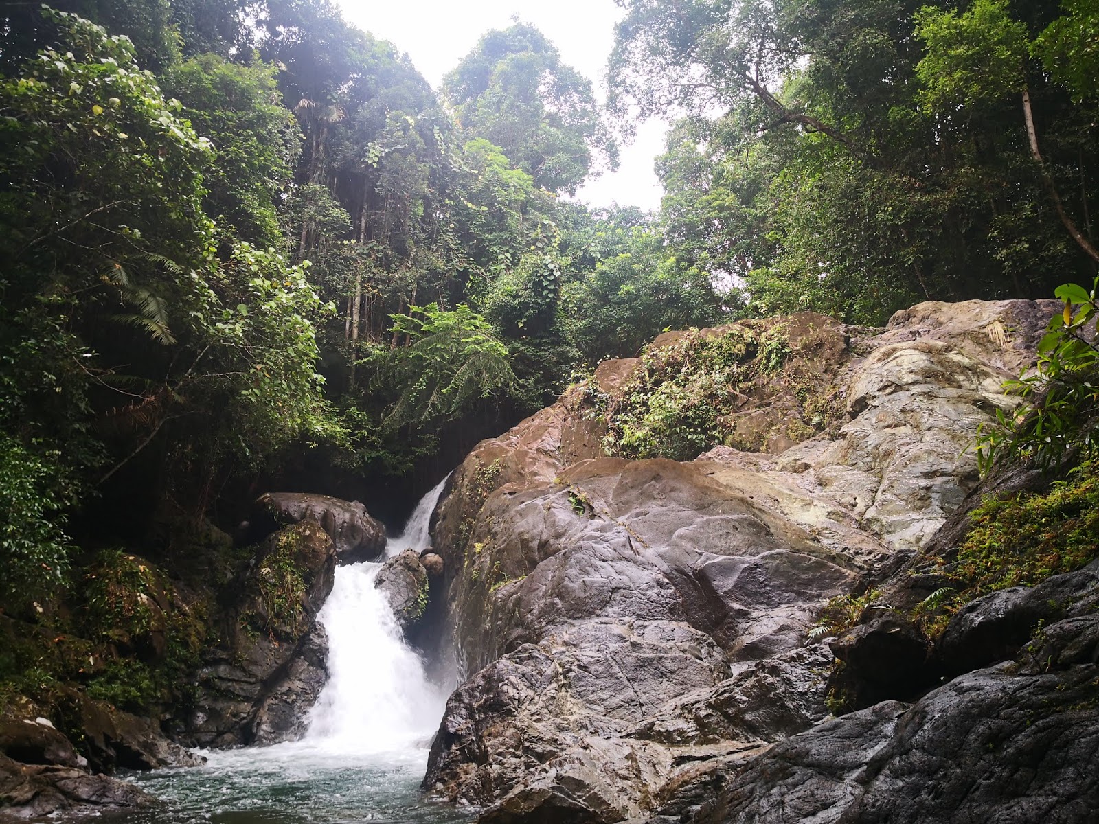 AZLAN RUMADI: HUJUNG MINGGU DI ECO-TOUR JUNGLE TRACKING WATERFALL SEBAT ...