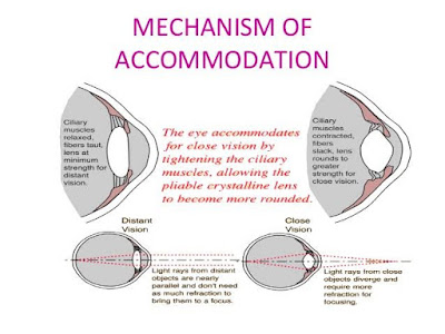Optometry: ACCOMMODATION of EYE :- Mechanism