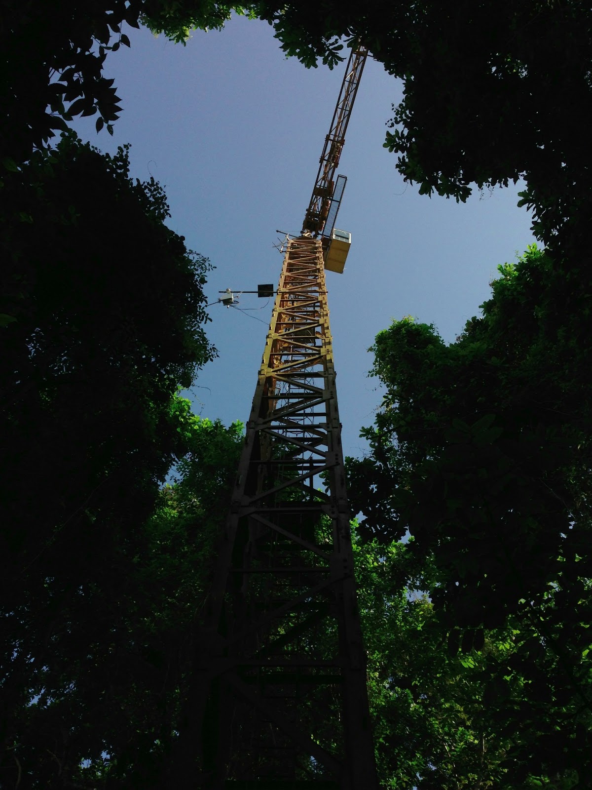 Exploring Panama: Canopy Connection