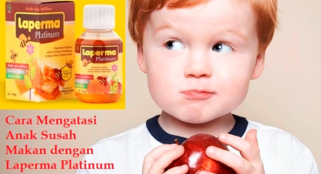 Solusi Cerdas Cara Mengatasi Anak Susah Makan dengan Laperma Platinum ...