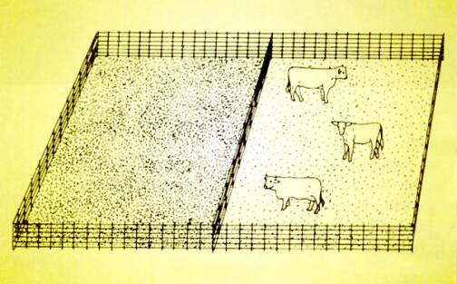 Sistemas de pastoreo