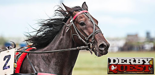 Derby Horse Quest Requirements - The Cryd's Daily