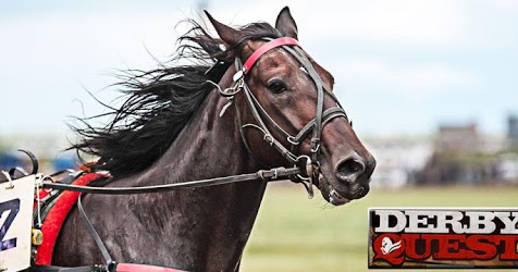 Derby Horse Quest Requirements - The Cryd's Daily