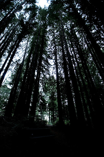 Wunderlich County Park