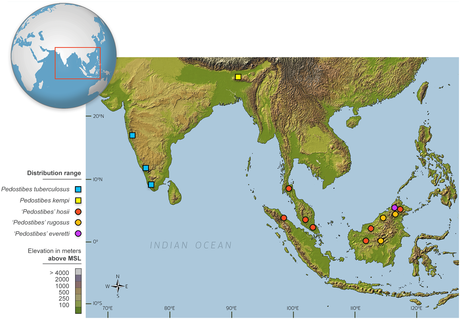 Species New to Science: [Herpetology • 2016] Polyphyly of Asian Tree ...