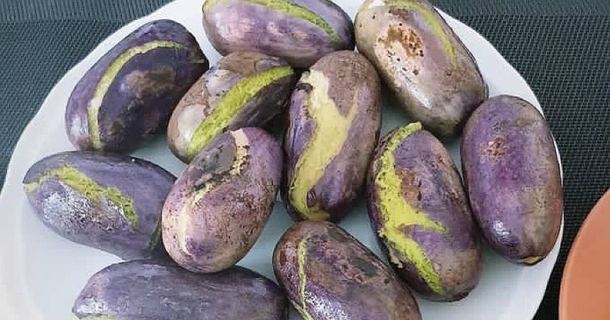 Awe Olufunso: Health and Nutritional Benefits of Dacryodes Edulis ...