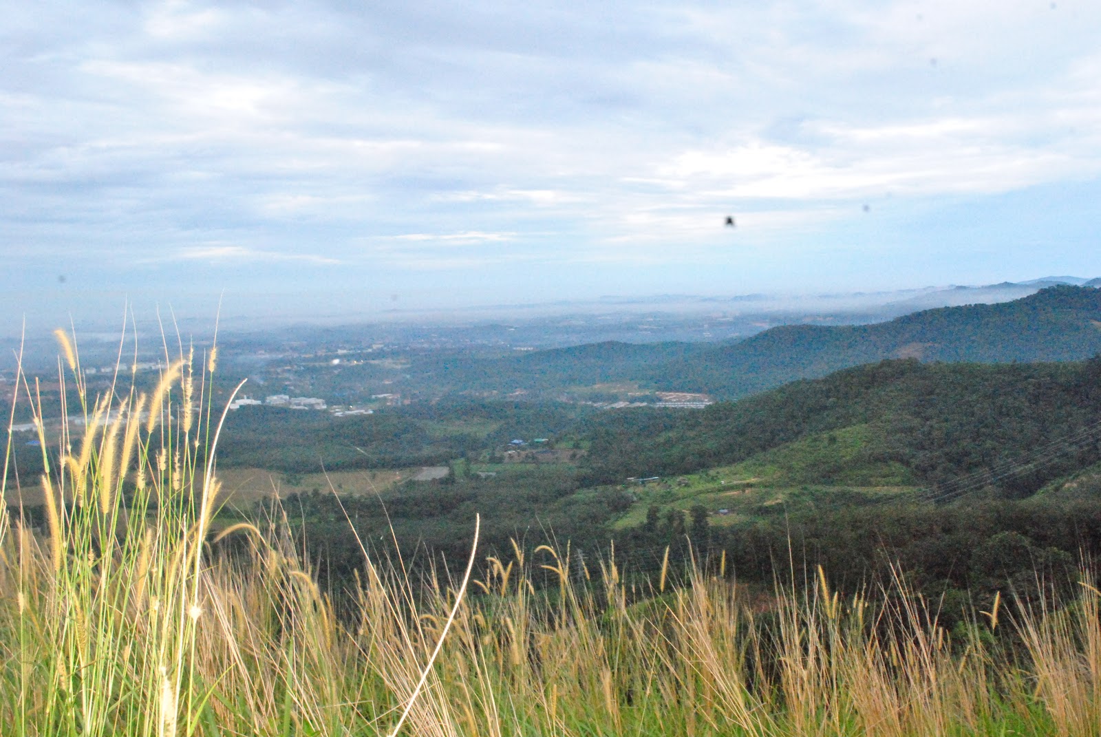 What Goes Around Comes Around: Bukit Broga