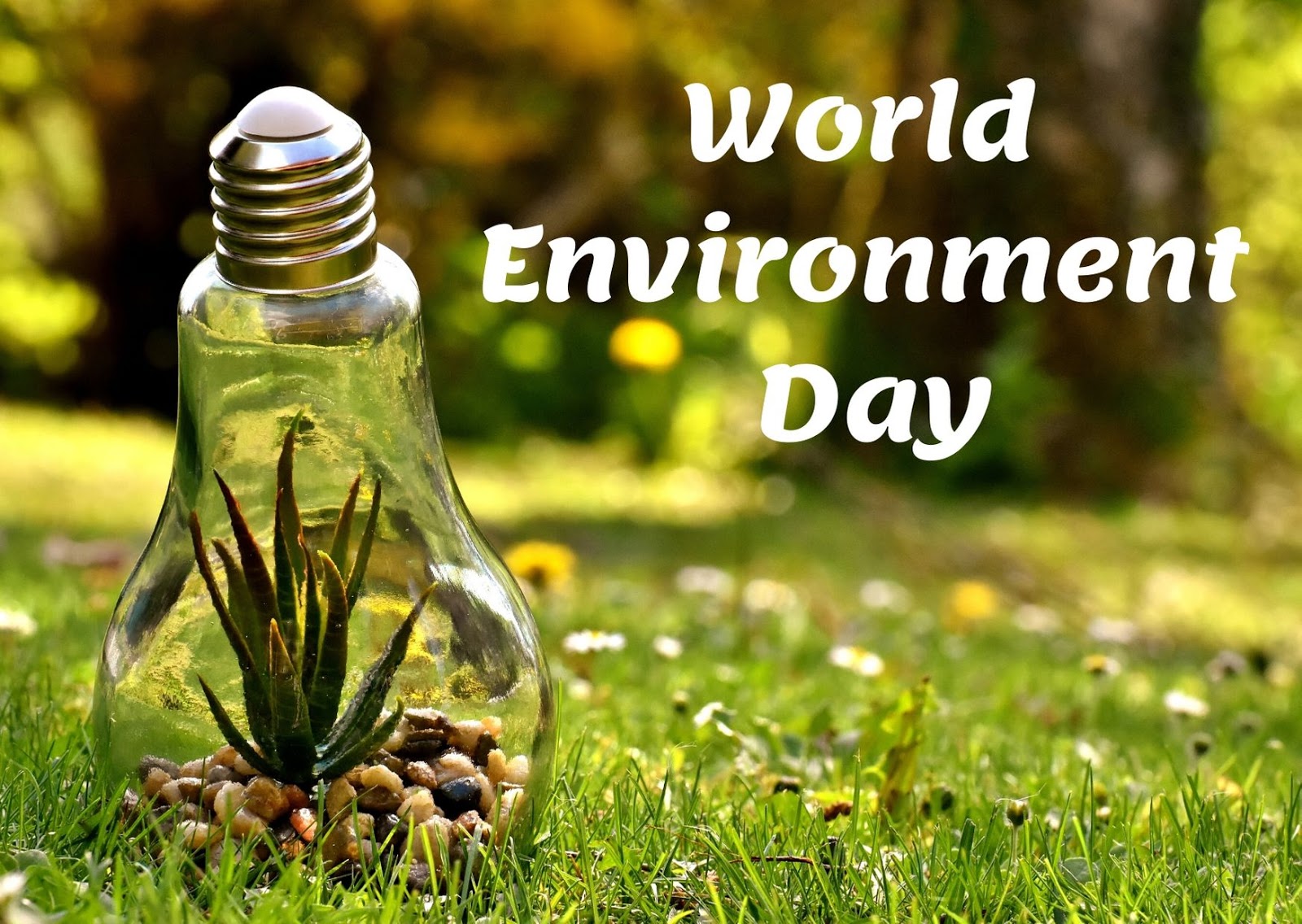 30+ Happy World Environment Day Images 2020 and pictures with Quotes ...