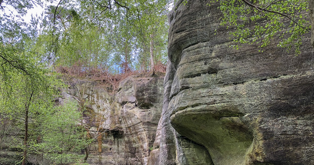 Eridge Rocks | Naturally