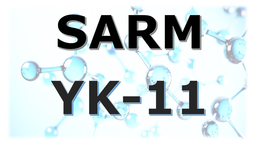 YK-11 SARM ~ Culturismo total