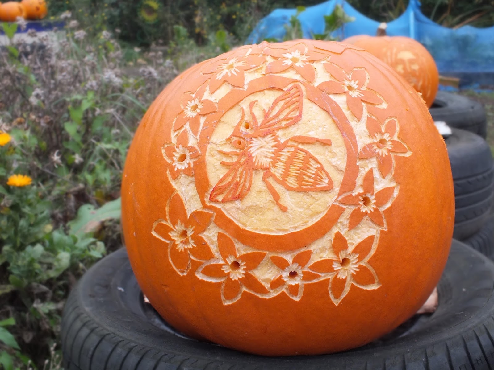 Windmill Community Gardens: 2016 Pumpkin Celebration - What an amazing day!