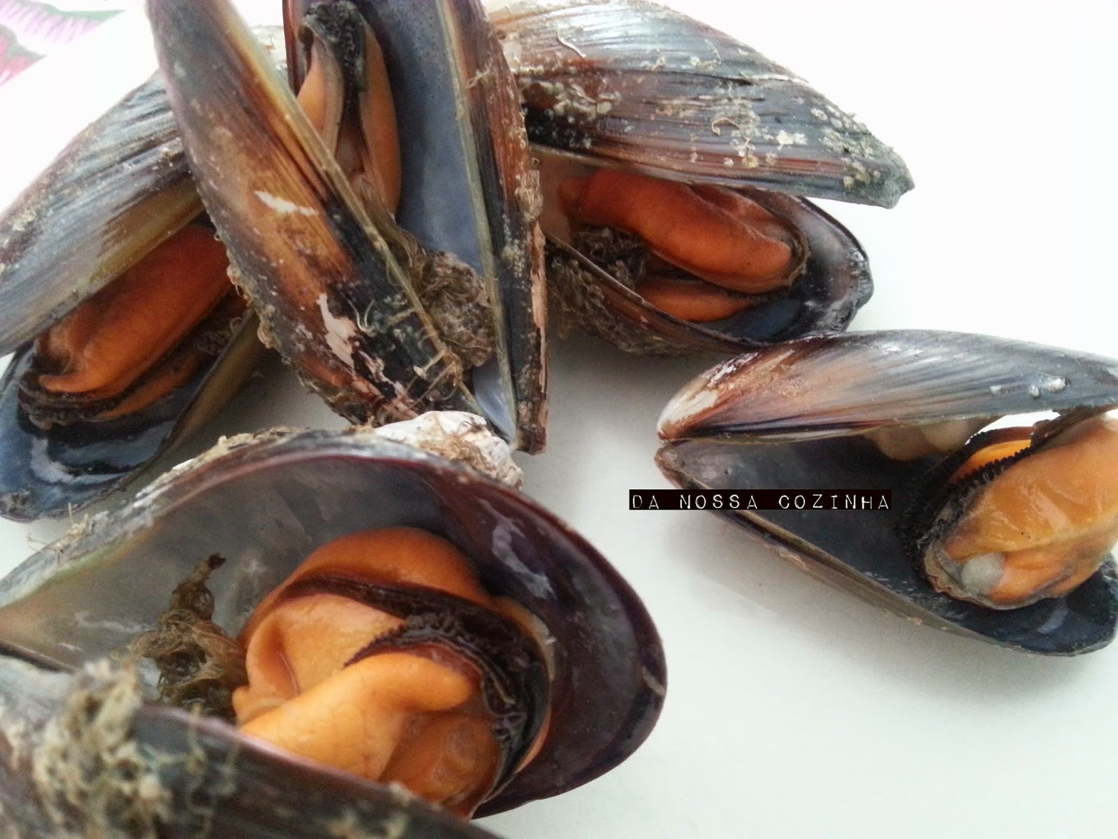 Da Nossa Cozinha : Viv'ó Mexilhão!